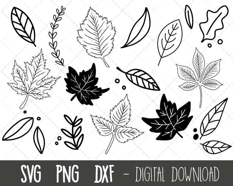 Fall Leaves SVG Autumn Leaves Svg Clipart Leaves Clipart - Etsy