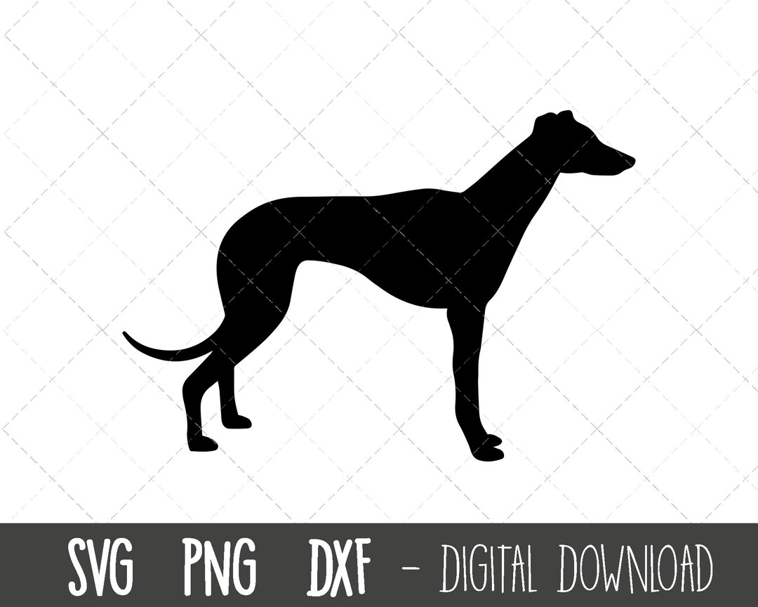 Greyhound Svg, Dog Svg, Greyhound Silhouette, Greyhound Outline Png ...