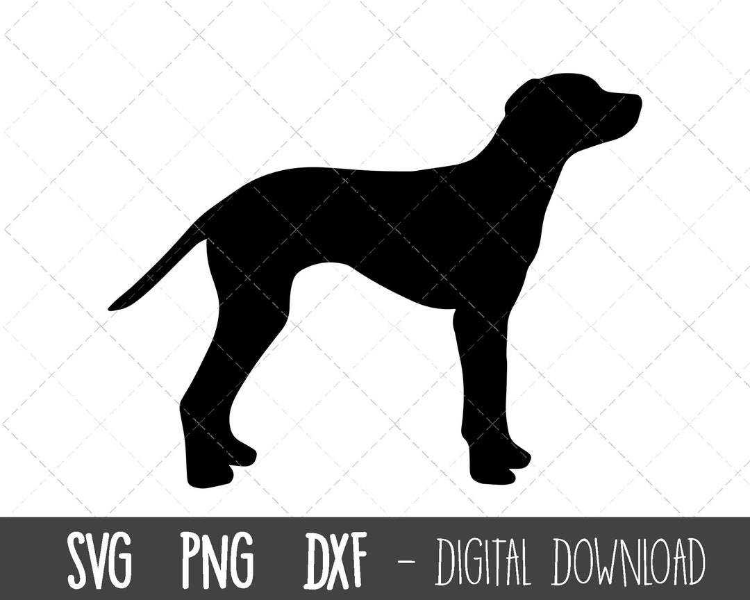 Dalmatian Svg, Dog Svg, Dalmatian Silhouette, Dalmatian Outline Png ...