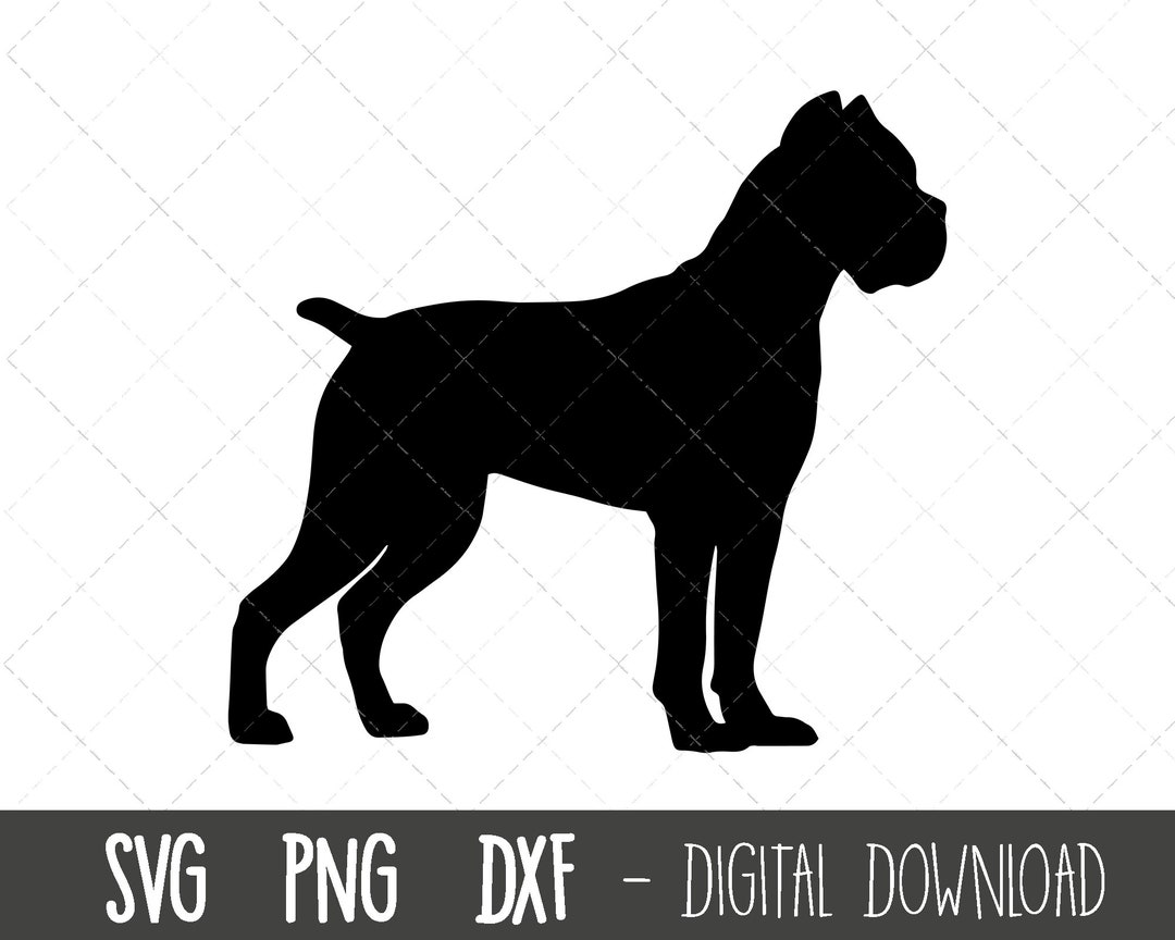 Cane Corso Svg, Dog Svg, Cane Corso Silhouette, Cane Corso Outline Png ...
