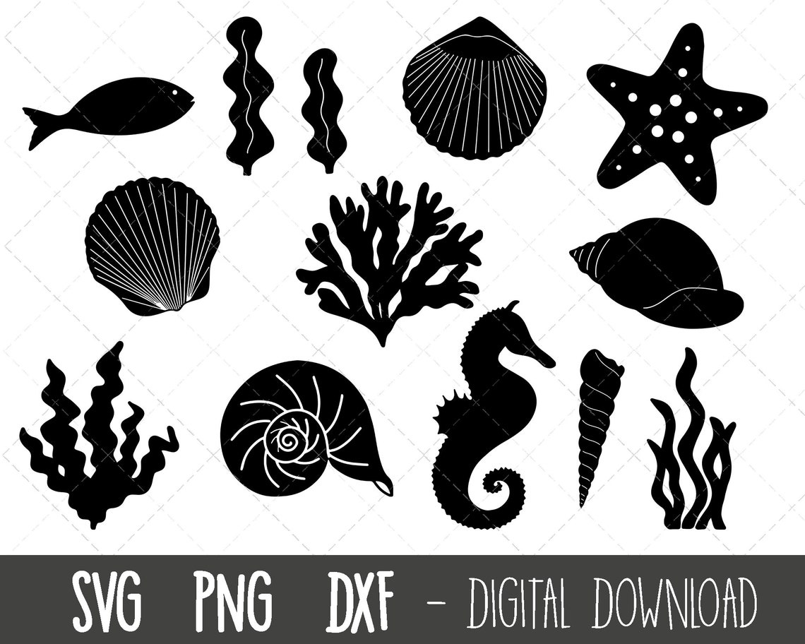 Ocean Animals SVG Under the Sea DXF Seahorse Svg Ocean | Etsy