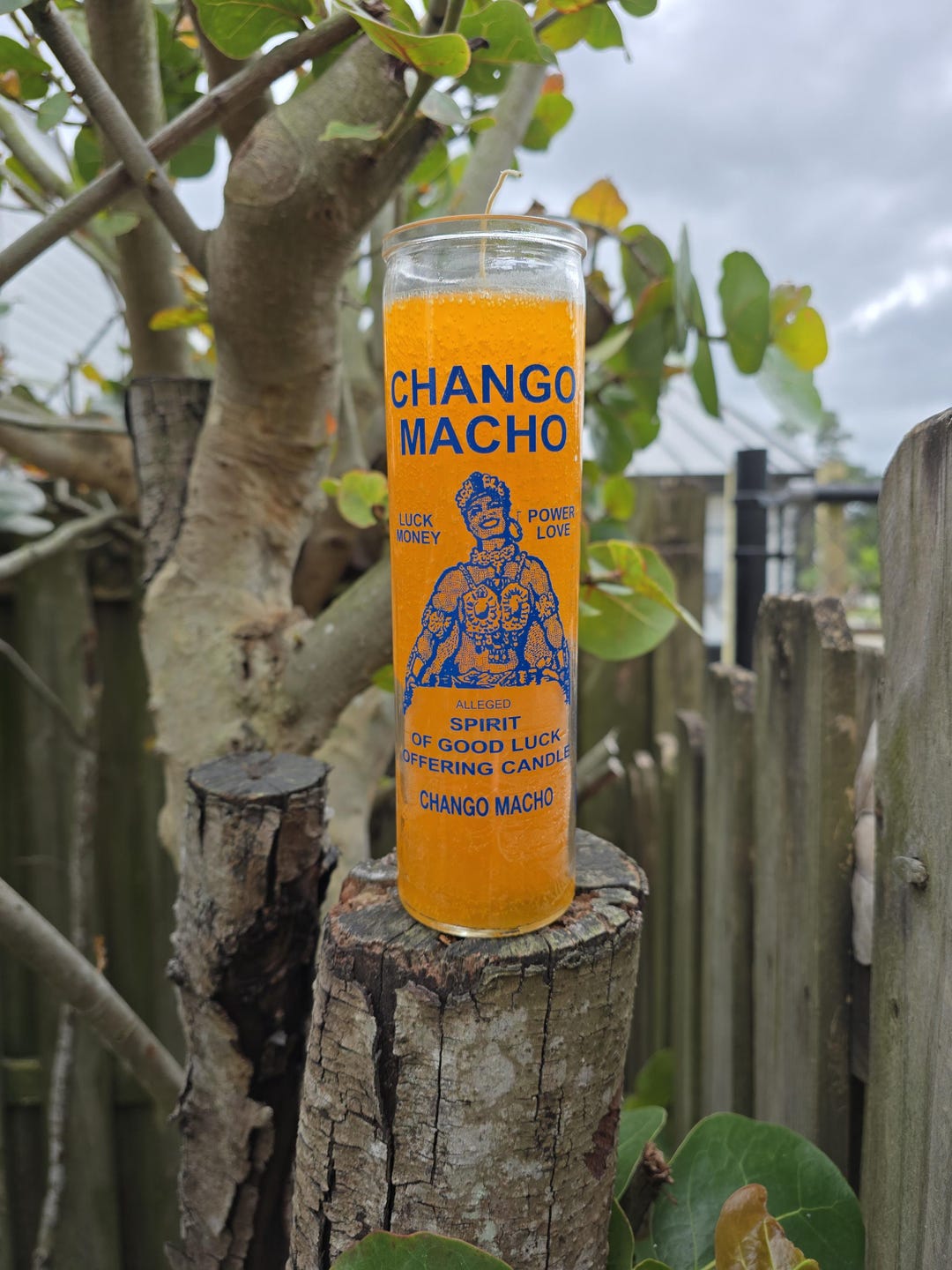 Chango Macho (spirit of Good Luck) 7 Day Candle, Gold - Etsy