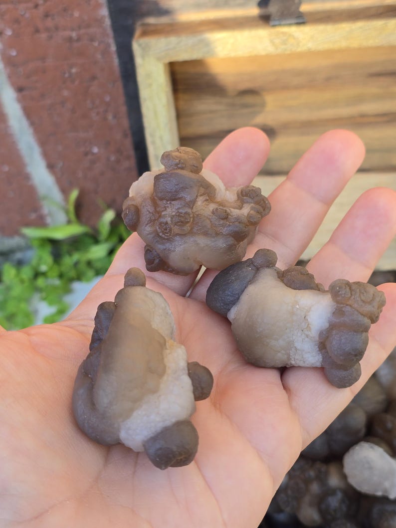 Panda Agate - Truffle Chalcedony - Etsy