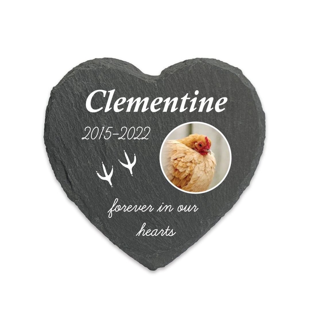 Personalized Chicken Memorial Stone With Picture Name Date - Etsy Australia