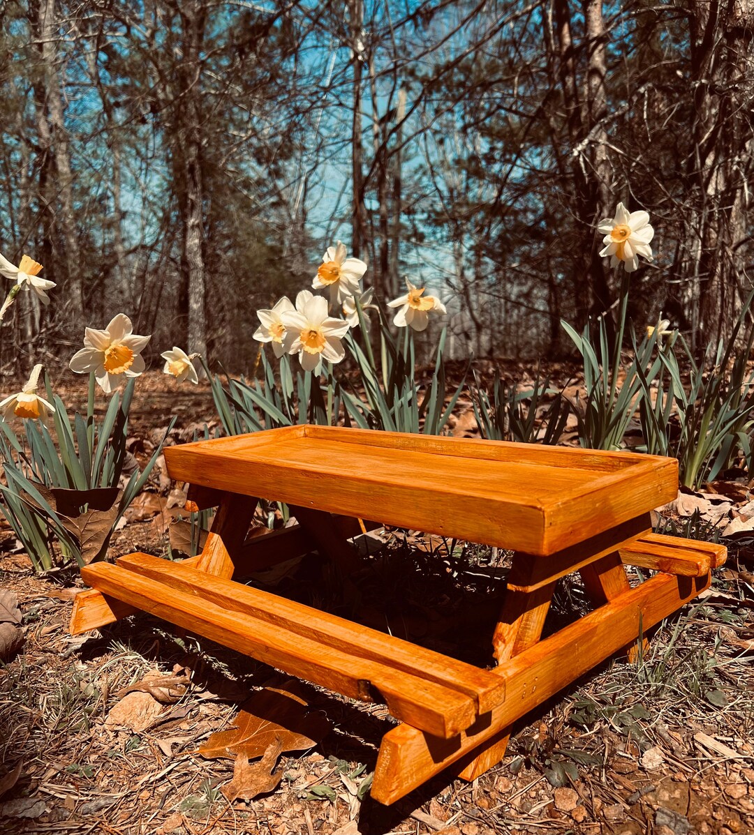 Chicknic Table / Chicken Feeder / Farm Feeder / Ground Feeder / Animal ...