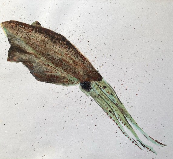 Squid Painting Acrylic Art Original Ocean - Etsy