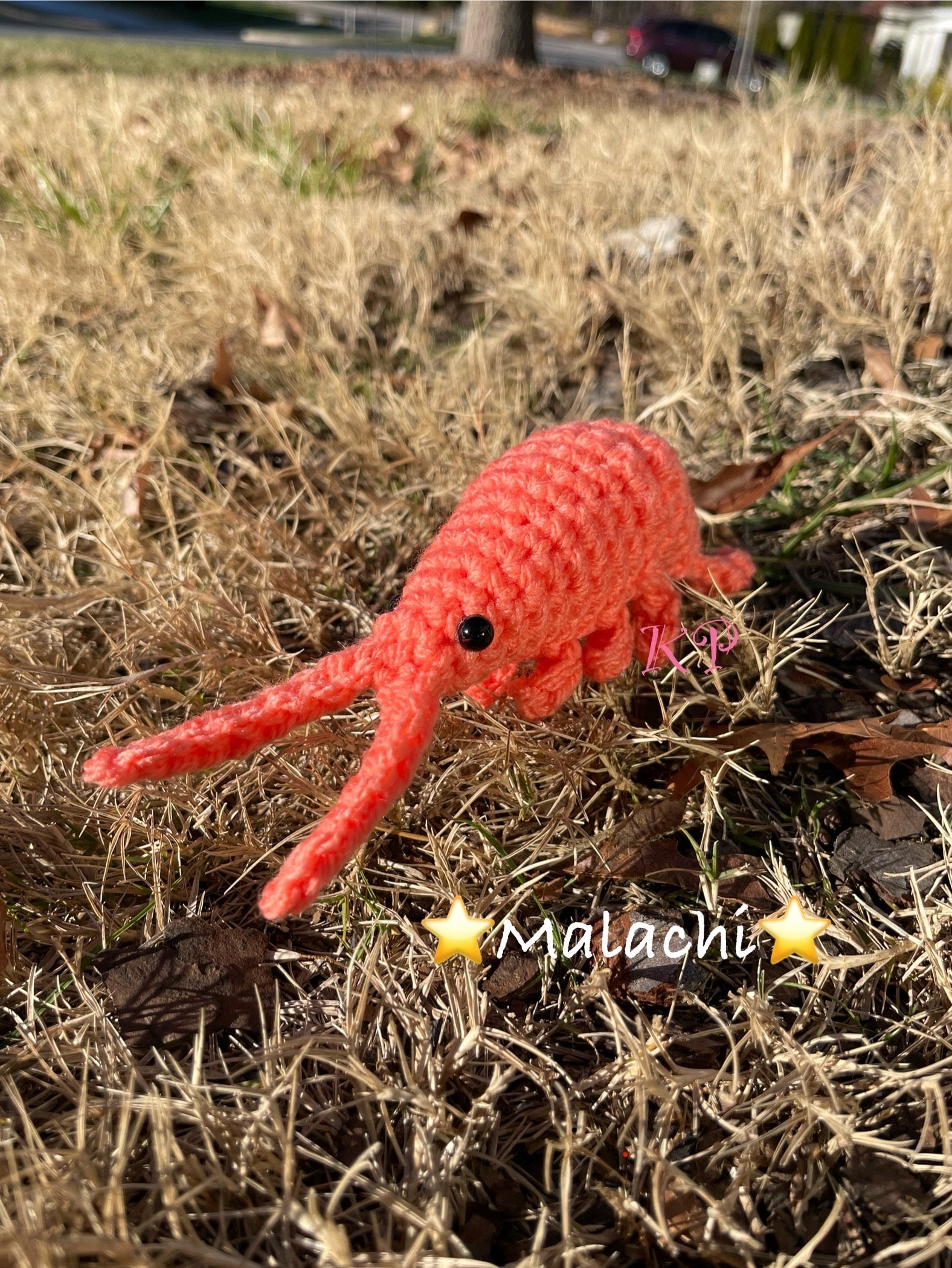 Emotional Support Shrimp | Crochet Animal | Amigurumi Plush | Finished ...