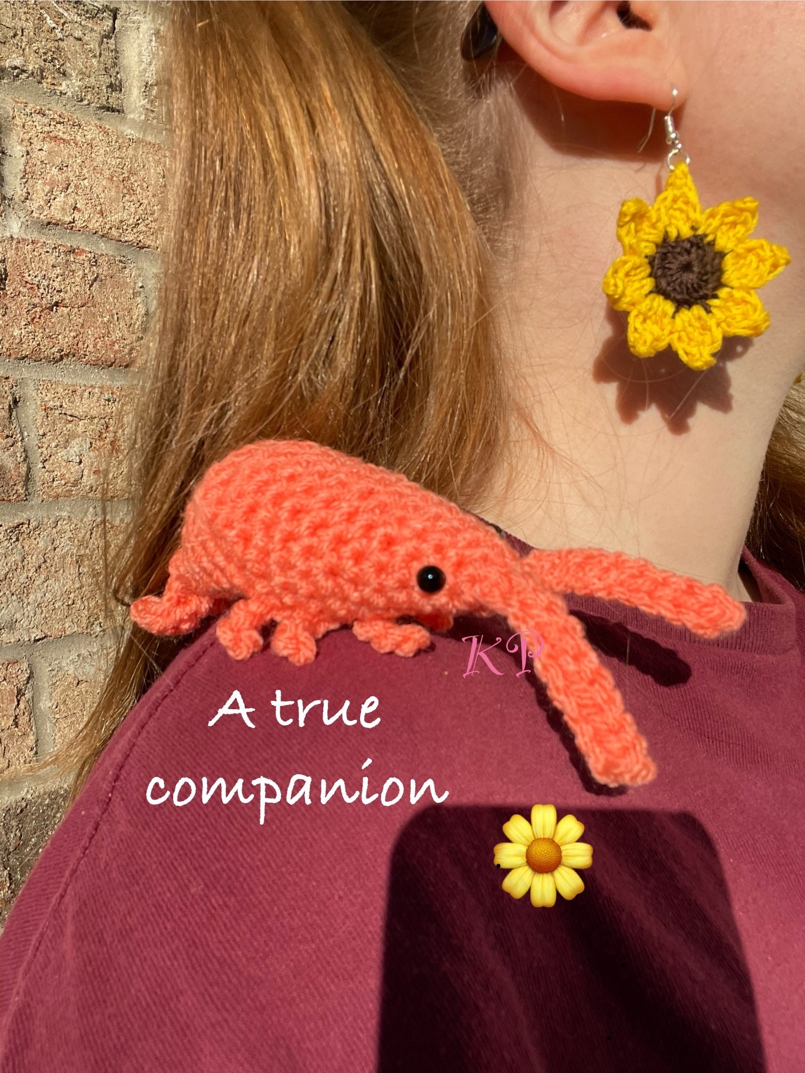 Emotional Support Shrimp | Crochet Animal | Amigurumi Plush | Finished ...