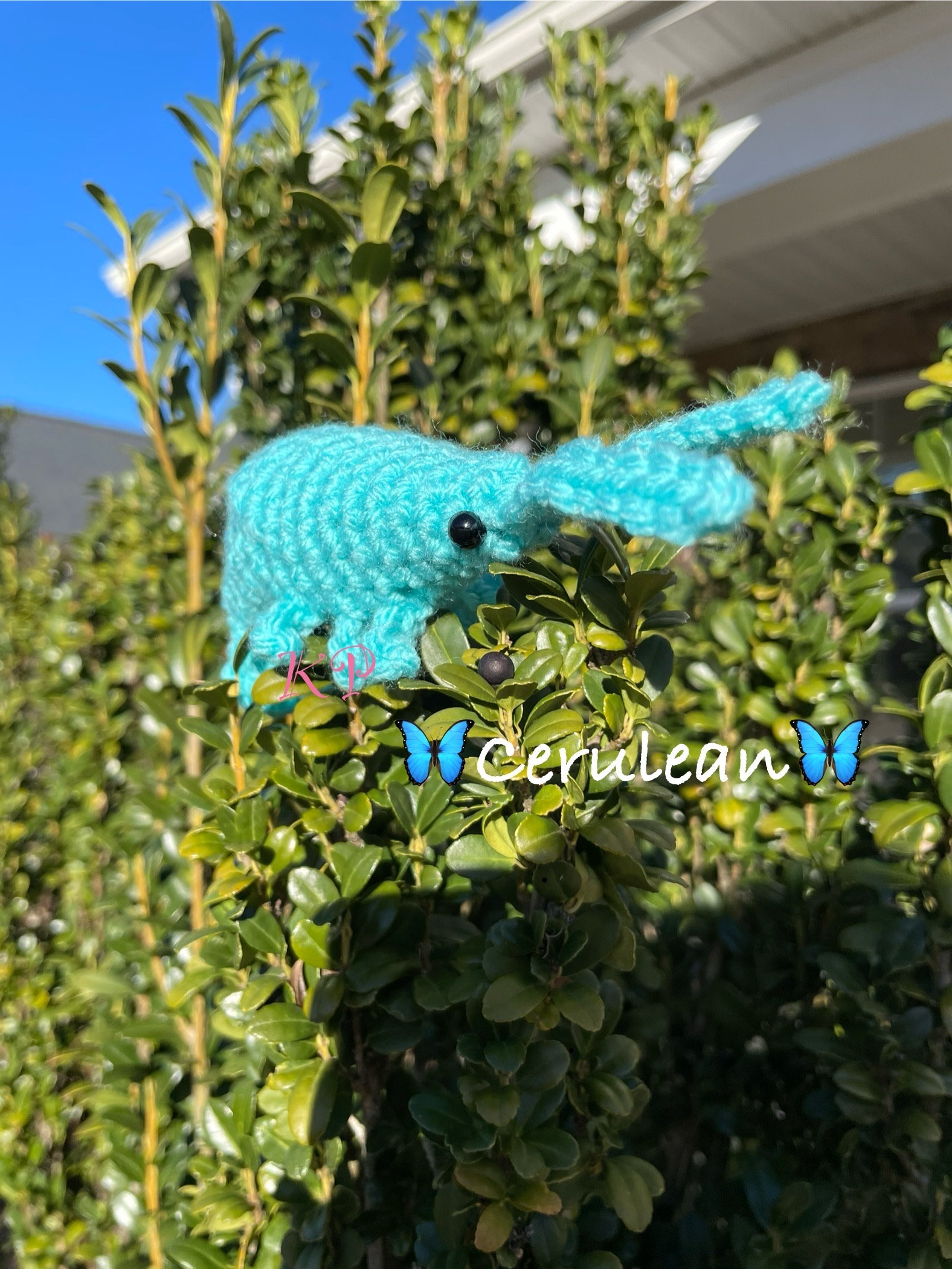 Emotional Support Shrimp | Crochet Animal | Amigurumi Plush | Finished ...