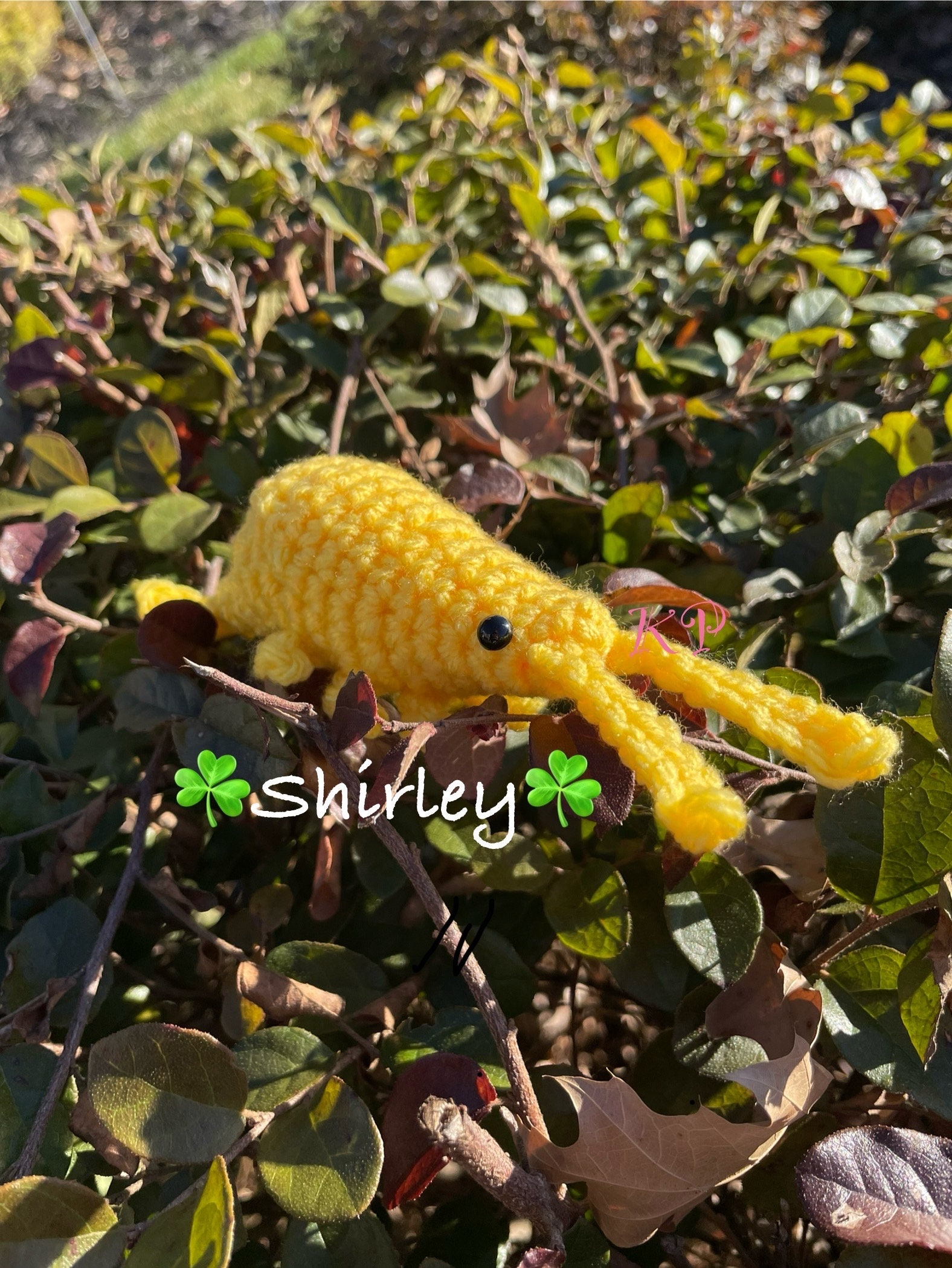 Emotional Support Shrimp | Crochet Animal | Amigurumi Plush | Finished ...