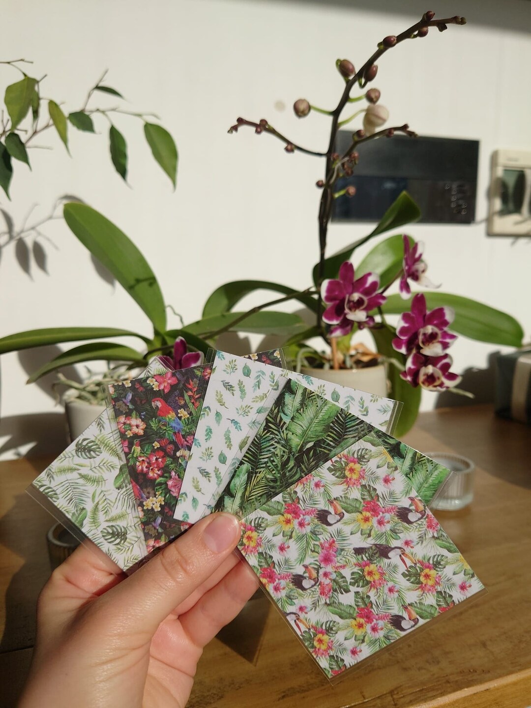 SALE Cash Envelopes 5 Mini Transparent Front Cash Wallets Laminated ...