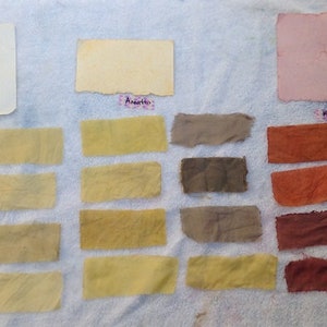 Immersion Dyeing With Natural Dye Instructions - Etsy