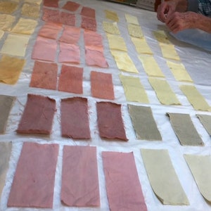 Immersion Dyeing With Natural Dye Instructions - Etsy