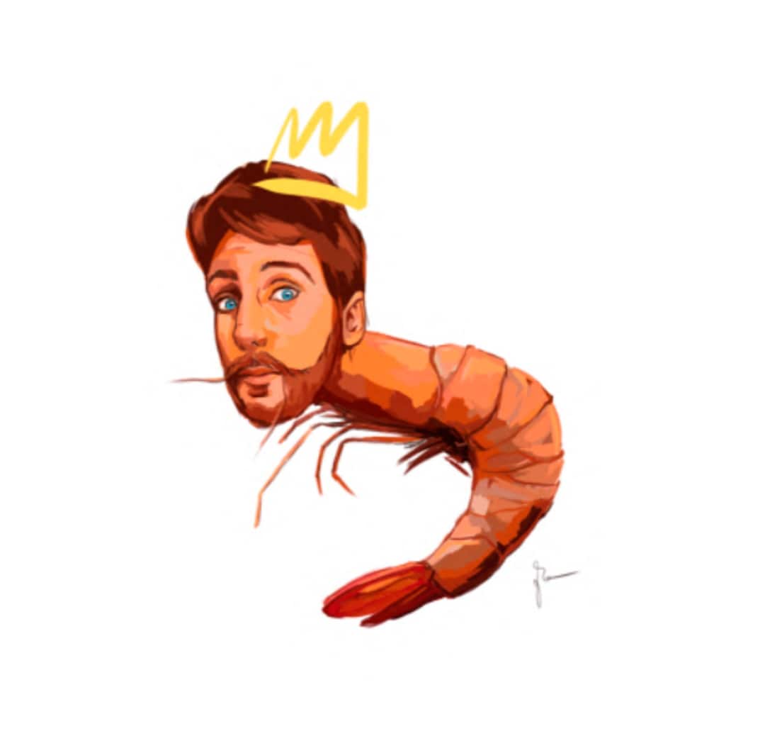 Retratos graciosos, dibujo original, retrato divertido, híbrido, cara ...