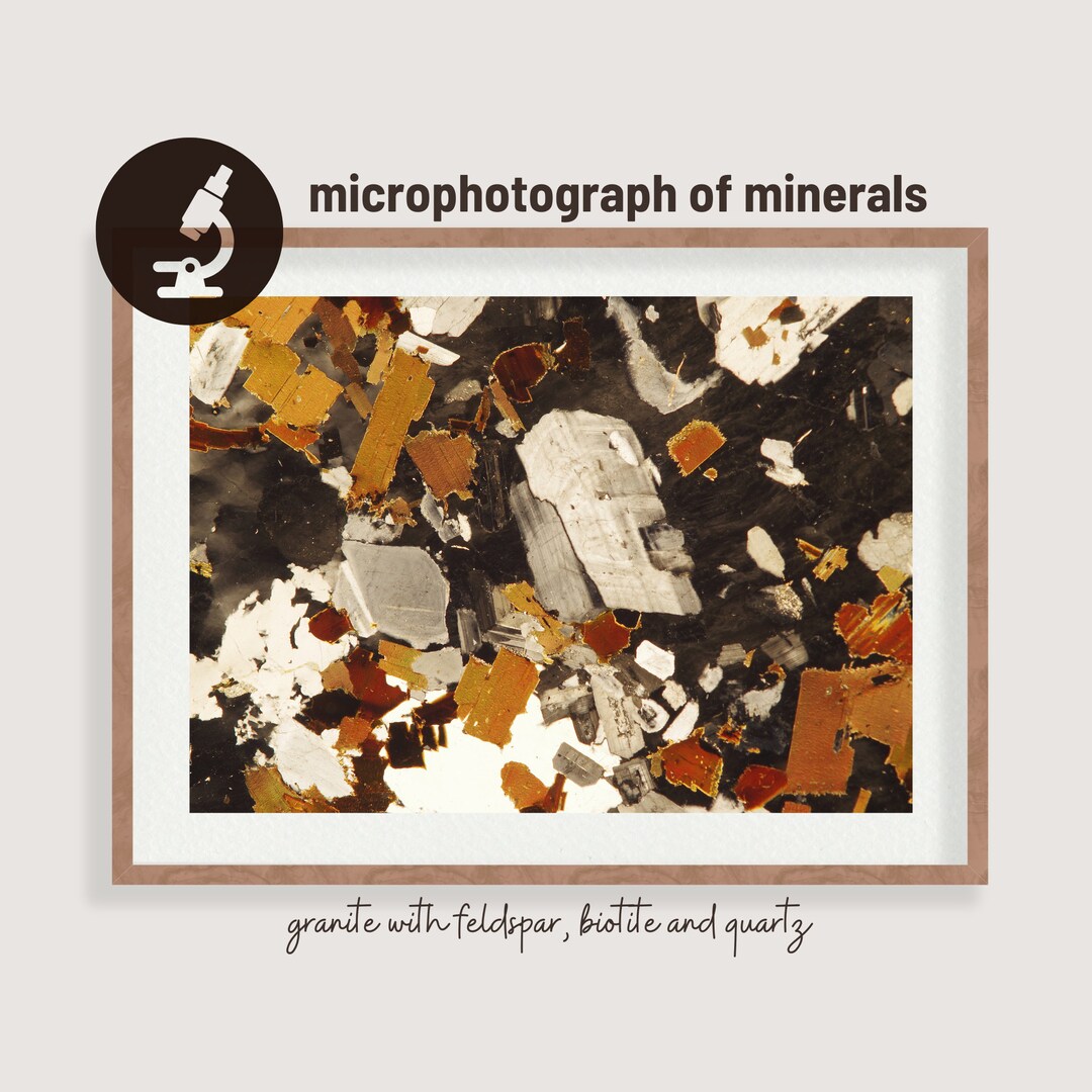 Printable Minerals Microphotograph, Crystals Thin Section Art Print ...