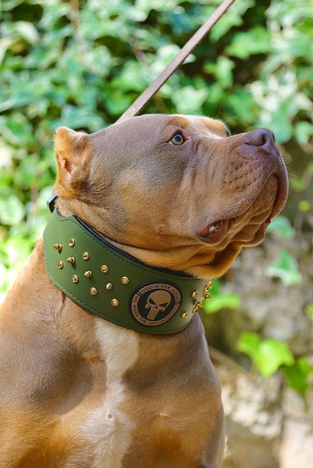 Luxury Big Dog Collar With Spikes 3 Inch Width - Etsy