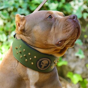 Luxury Big Dog Collar With Spikes 3 Inch Width - Etsy