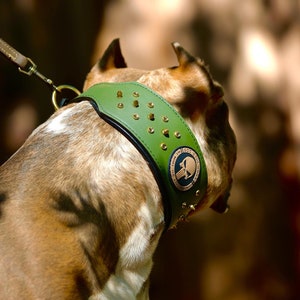 Luxury Big Dog Collar With Spikes 3 Inch Width - Etsy