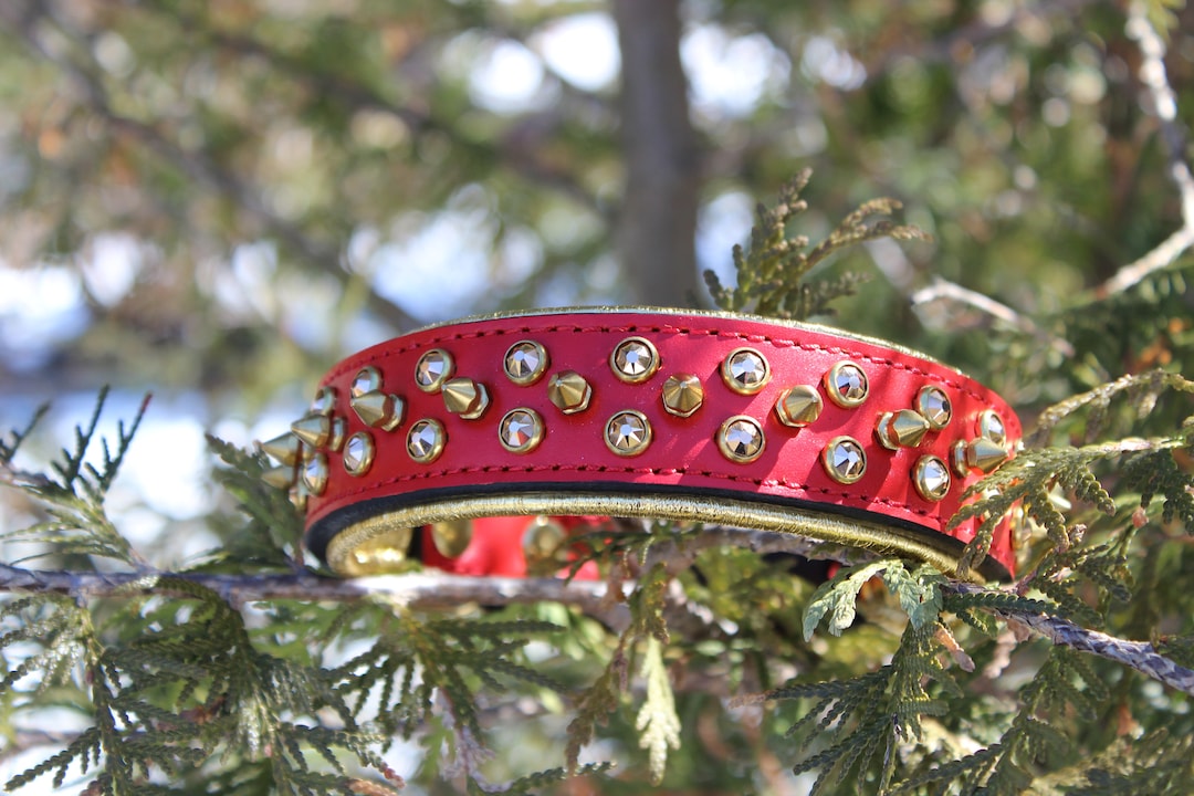 24K Ruby Dog Collar / Red & Gold Spike Collar / Studded Dog Collar ...