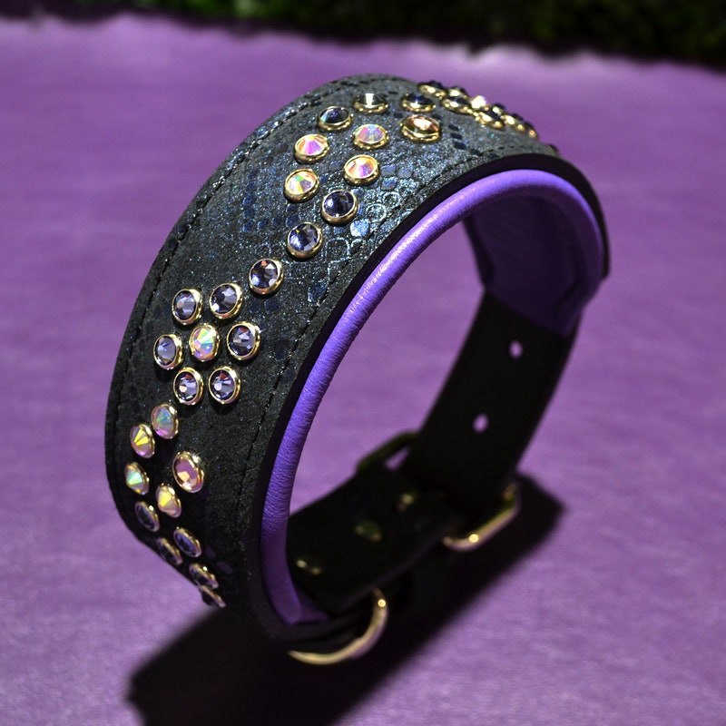 Unique Dog Collar - Etsy