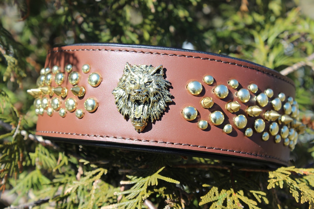 WILD WOLF Dog Collar / Gold Spike Dog Collar / Custom Leather Dog ...