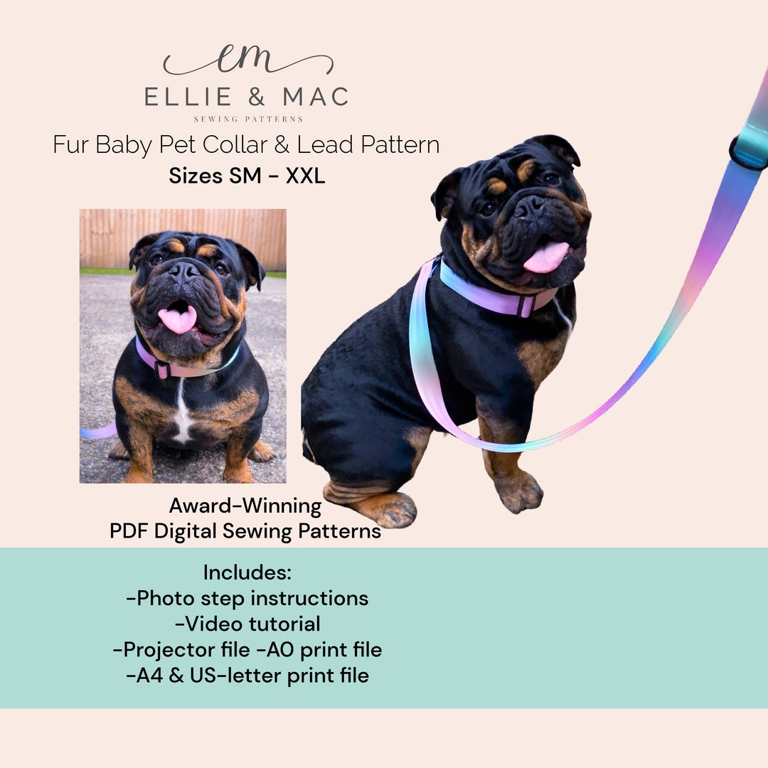 Pet Collar & Lead Sewing Pattern: Fur Baby Design (digital PDF) - Etsy