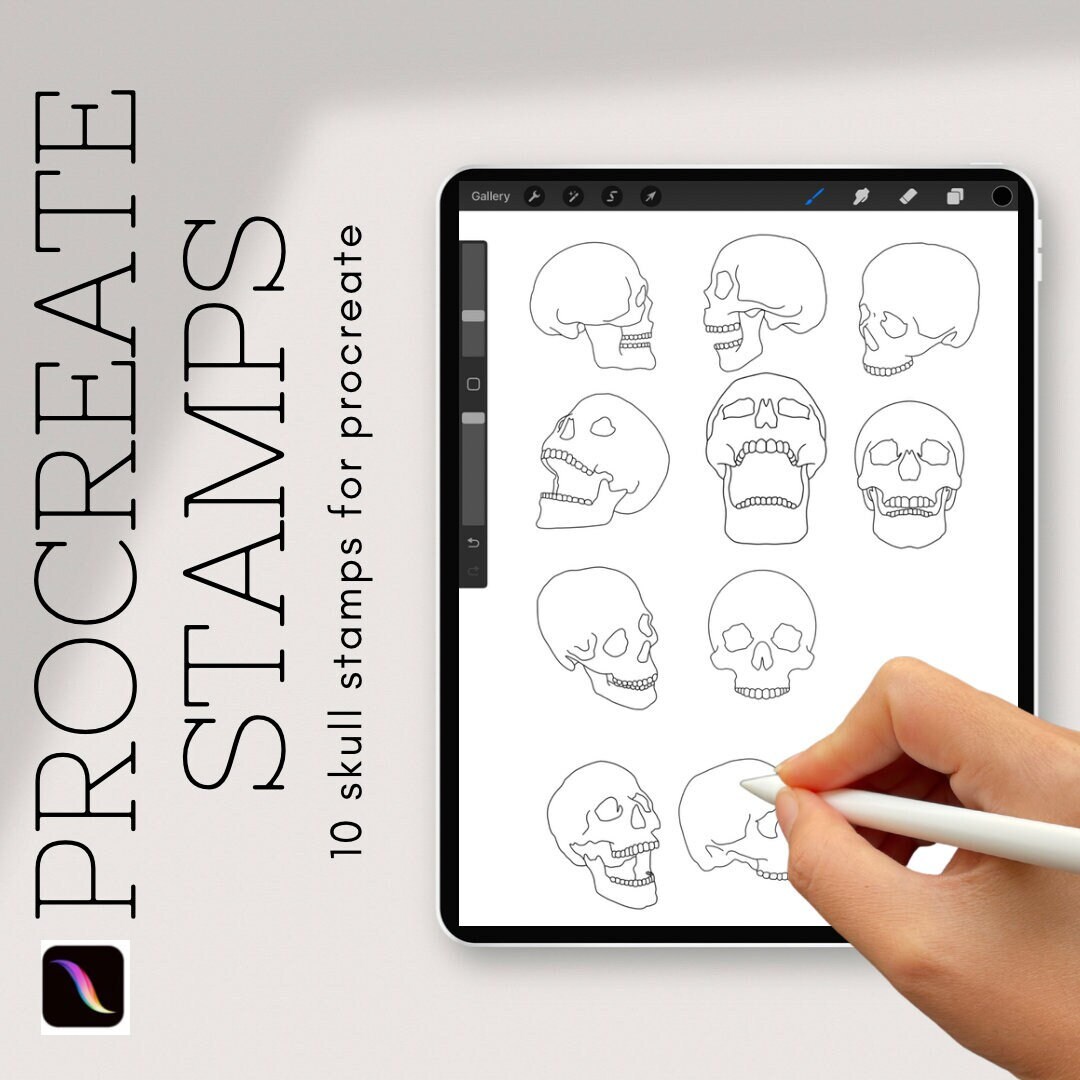 Human Skull Procreate Stamps: Fineline Tattoo Design Brushes (digital ...