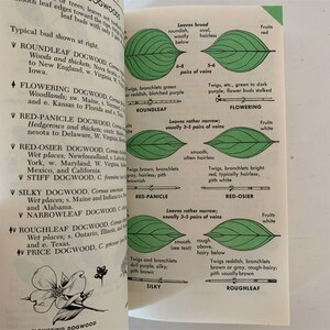 A Field Guide to Trees and Shrubs, Roger Tory Peterson 1972 Paperback ...