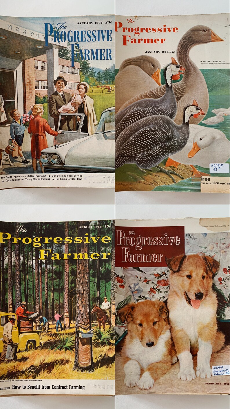 The Progressive Farmer Magazine, Vintage Magazines Mid Century 1940s ...
