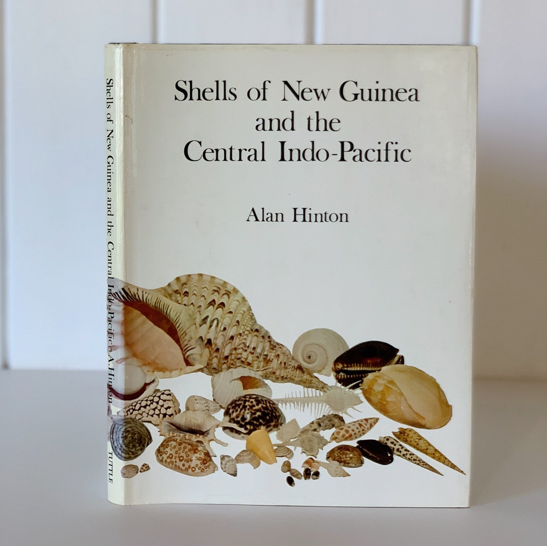 Shells of New Guinea and the Indo-pacific 1979, Illustrated - Etsy