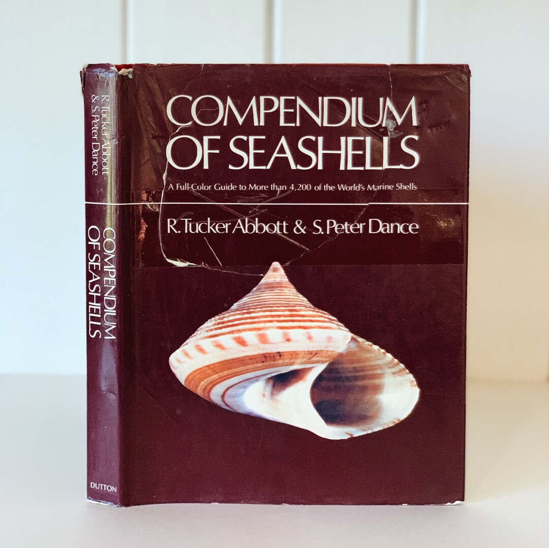 Compendium of Seashells, 1982 First Edition, Hardcover With DJ, Abbott ...