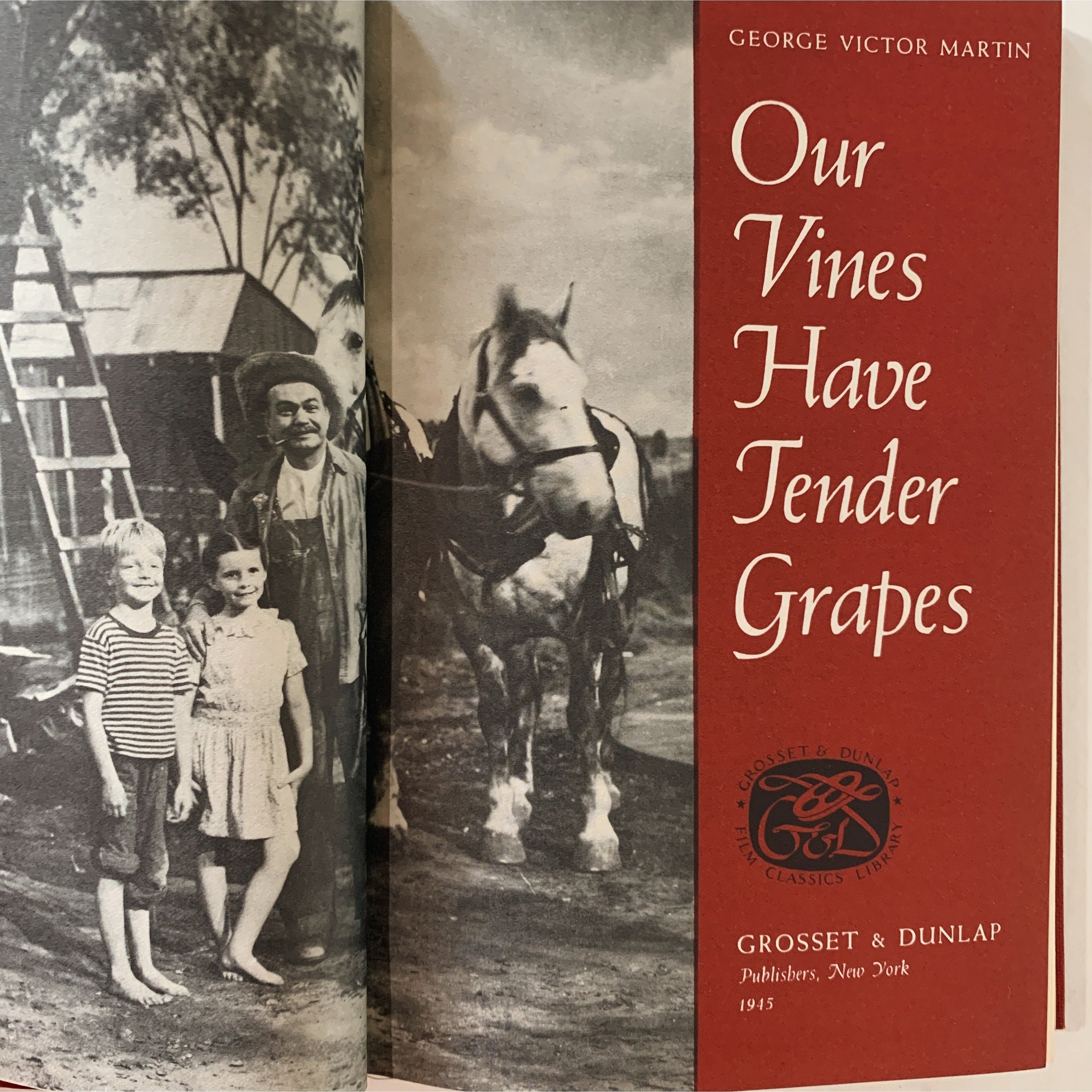Our Vines Have Tender Grapes MGM Movie Tie-in Edition 1945 - Etsy