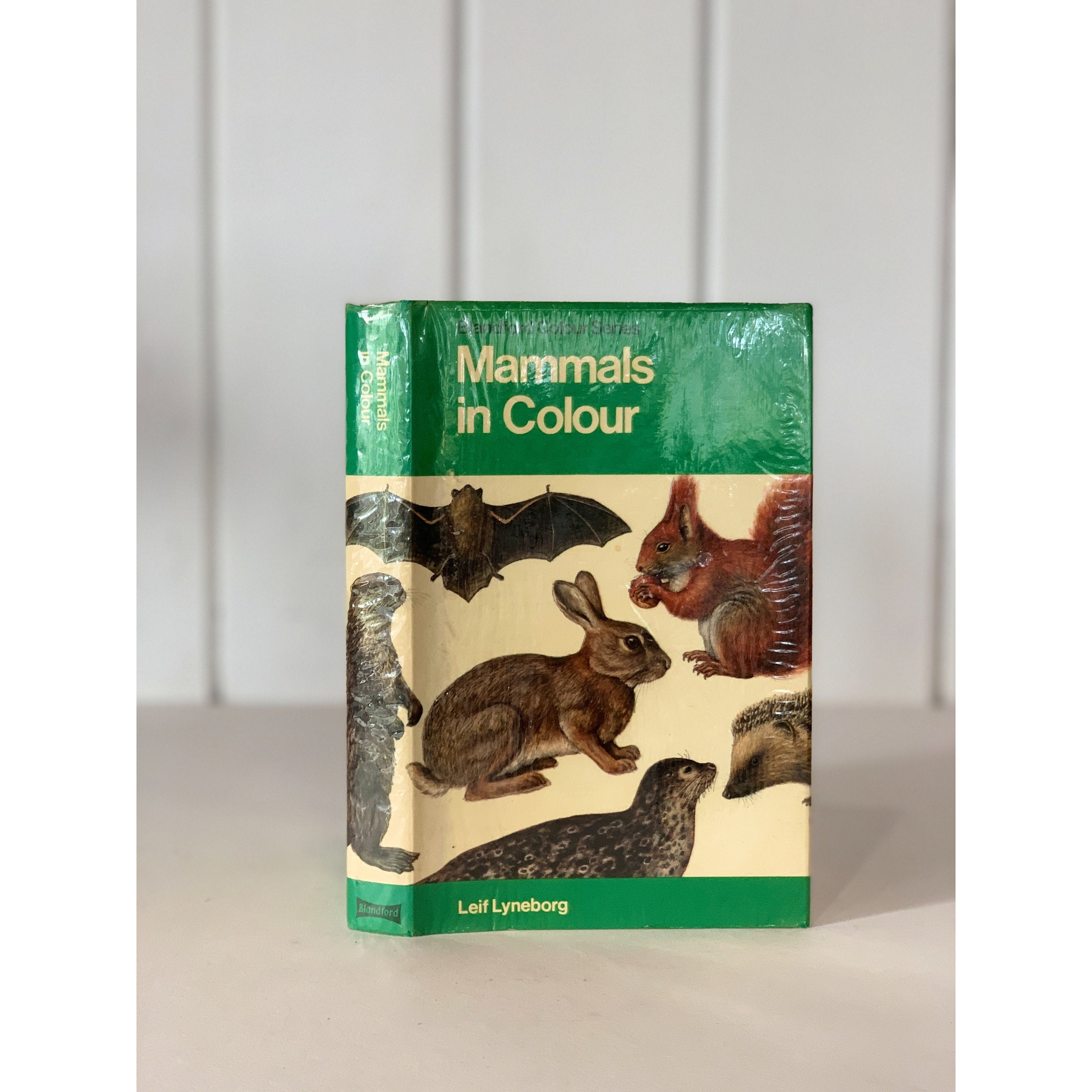 British Field Guide Mammals in Colour 1971 Hardcover - Etsy