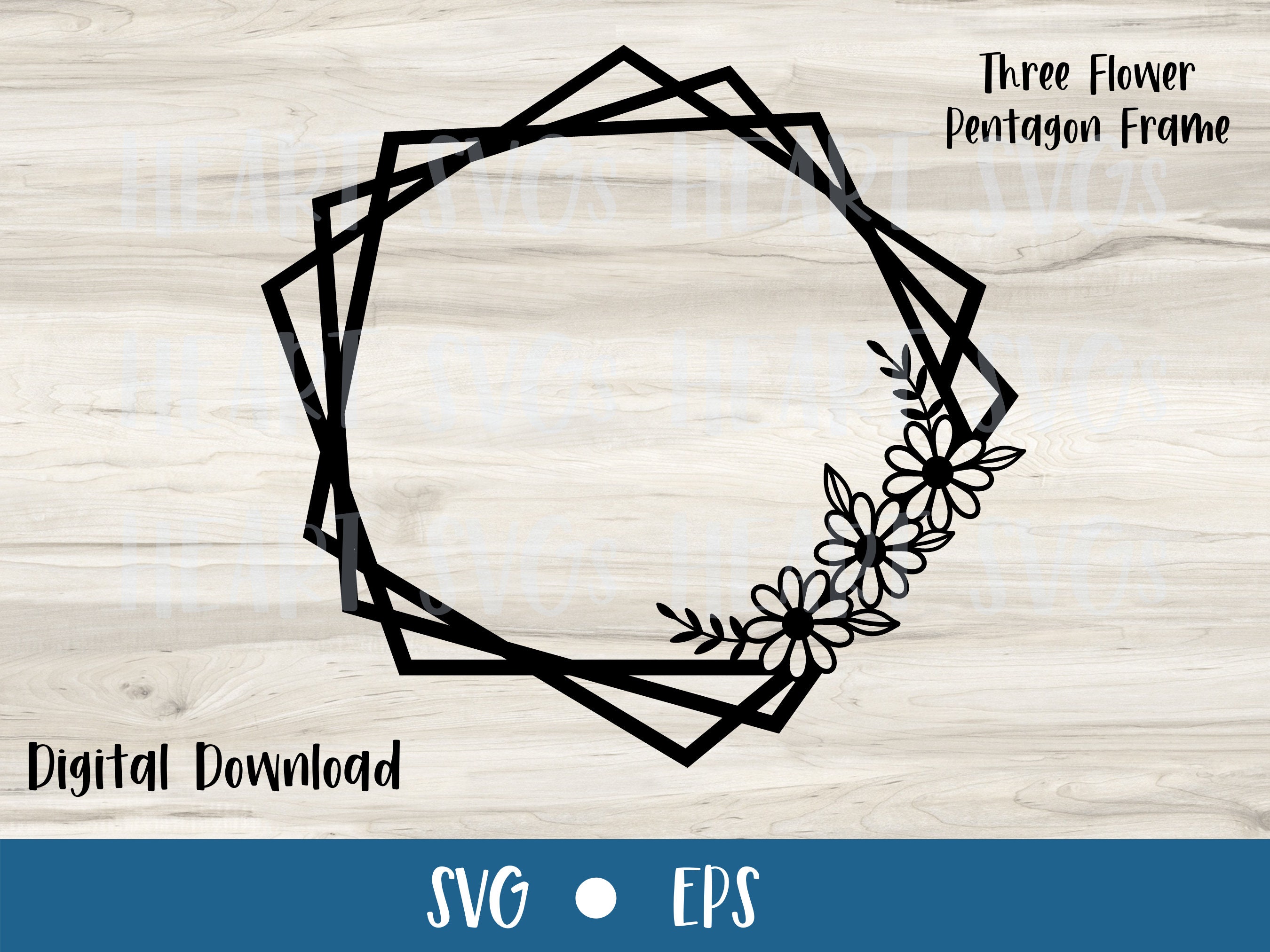 Pentagons In Flowers