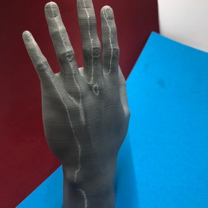 Realistic Hand Digital STL File Download - Etsy
