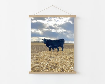Calf Photo, Digital Download - Etsy