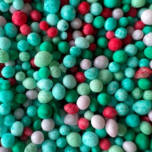 Gum Blossom Australian Native Flower 100s and 1000s Christmas Green Red ...