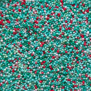 Gum Blossom Australian Native Flower 100s and 1000s Christmas Green Red ...
