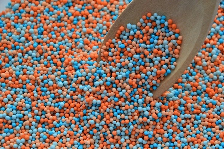 Wackadoo Bluey Cartoon Kids Edible Nonpareil Sprinkles 100s - Etsy