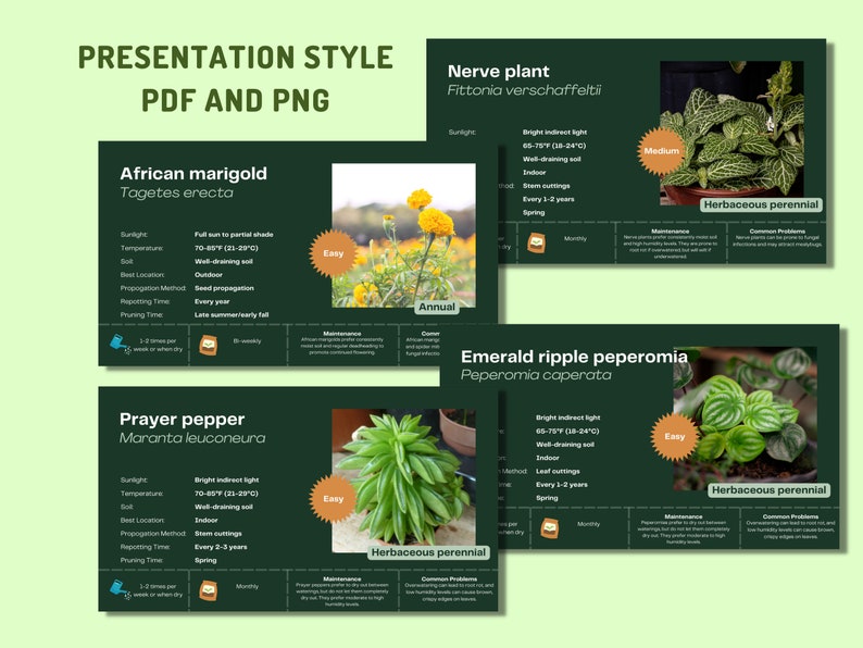 Customized Printable Plant Care Guide Garden Planning - Etsy