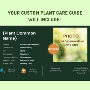 Customized Printable Plant Care Guide, Garden Planning, Houseplant Care ...