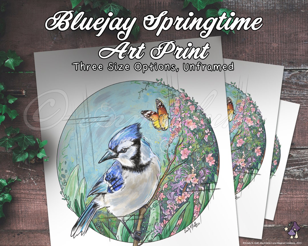 Bluejay in Springtime, Fine Art Print - Three Size Options - Etsy