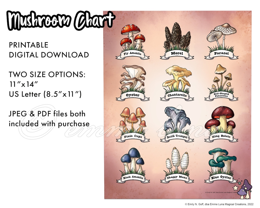 Mushroom Chart PRINTABLE, Two Sizes Included Digital Download - Etsy