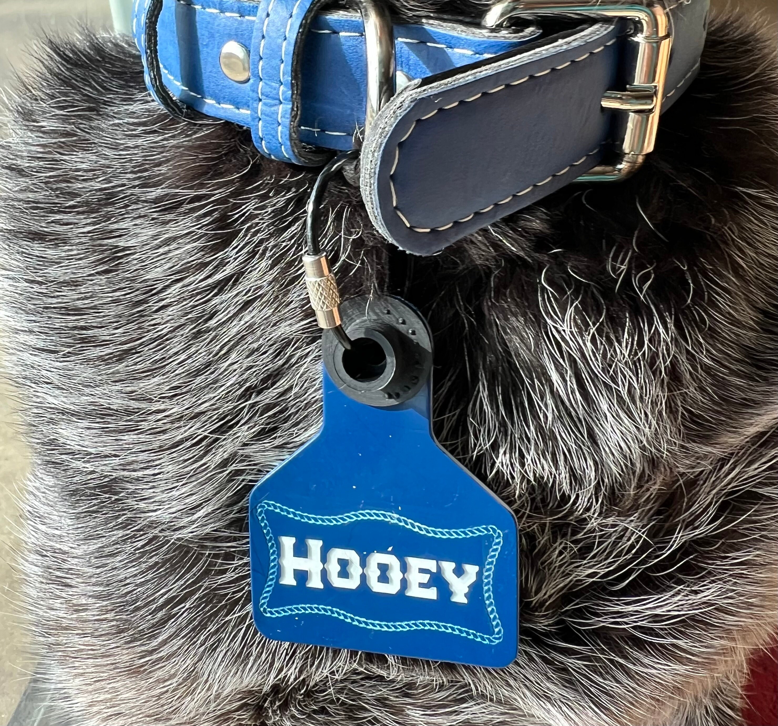 Custom Laser Engraved Cow Ear Tags - Etsy