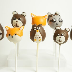 Woodland Animals Hedgehog, Owl, Racoon, Fox Cake Pops, Woodland ...