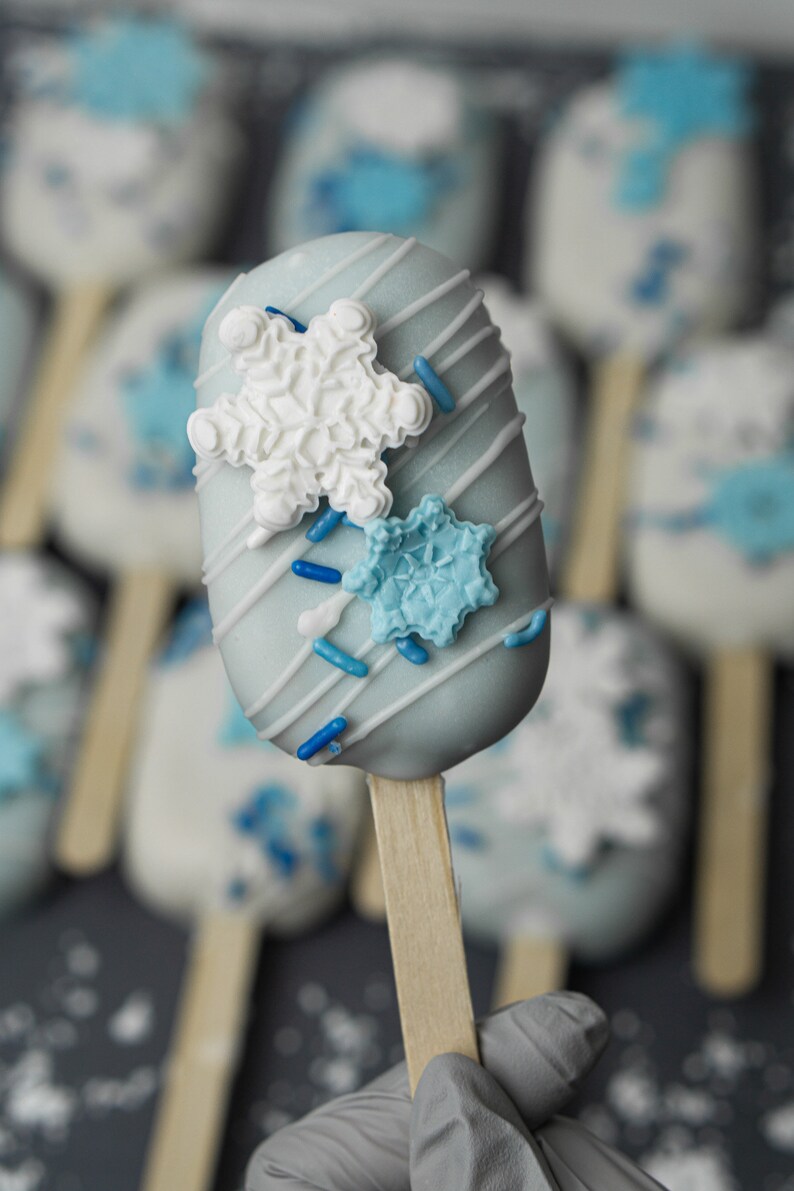 Winter Frozen Snow Cakesicles - Etsy