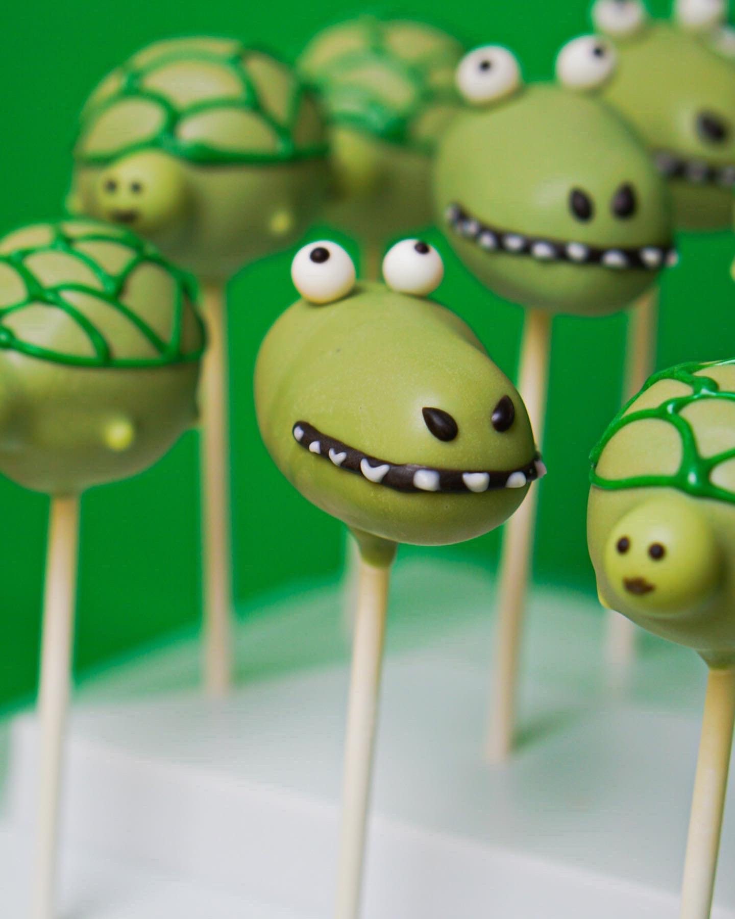 Turtle and Alligator Cake Pops Turtle and Alligator Birthday - Etsy