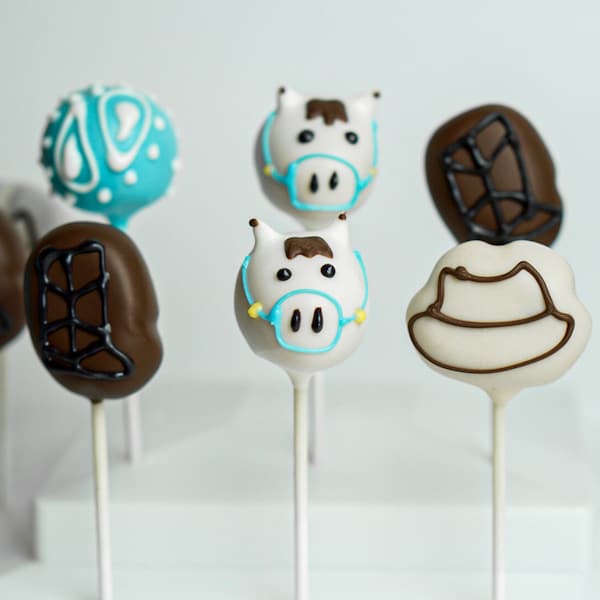 Cowboy Cake Pops - Etsy