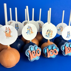 Bluey Cake Pops Birthday Gifts Treats (12) - Etsy