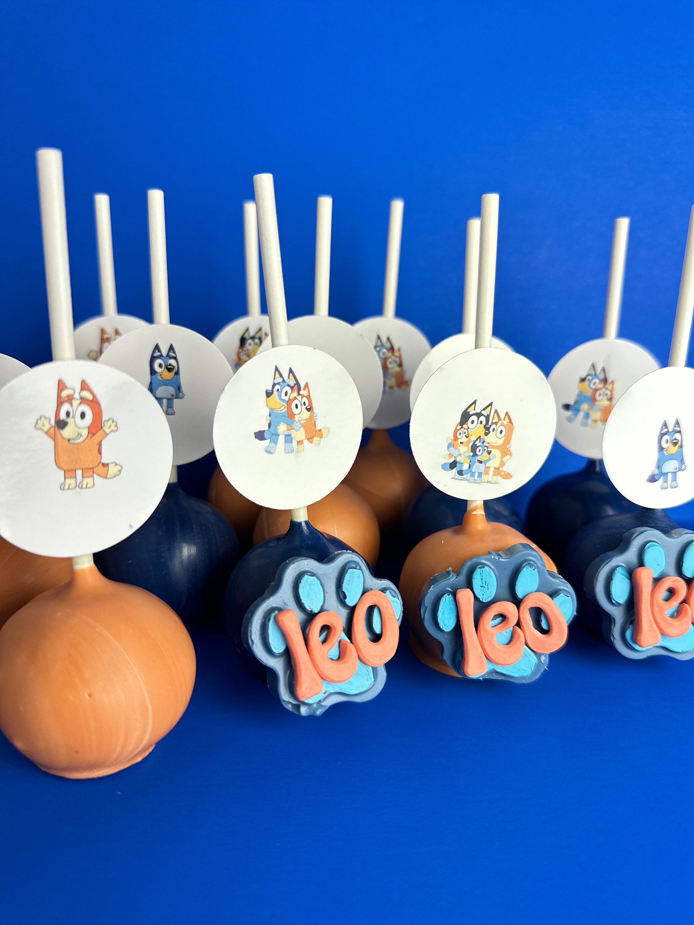 Bluey Cake Pops Birthday Gifts Treats (12) - Etsy